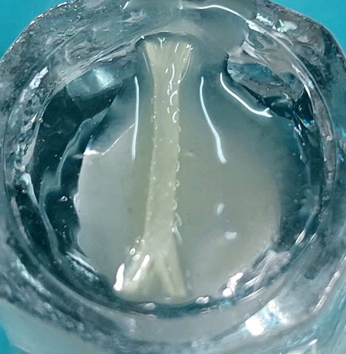 Guident : OPEN ACCESS DENTAL JOURNAL