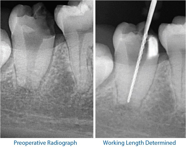 Online Open Access Dental Magazine, Journal, Publication, Dentistry Journal