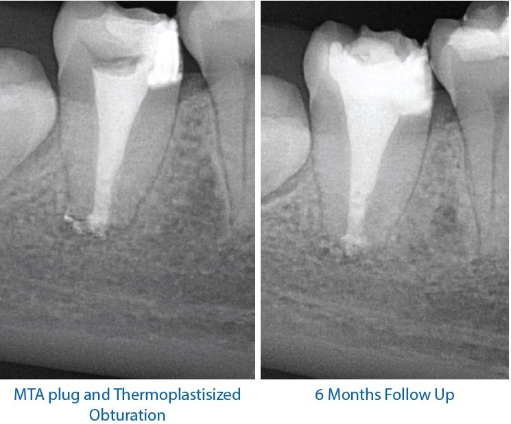 Online Open Access Dental Magazine, Journal, Publication, Dentistry Journal