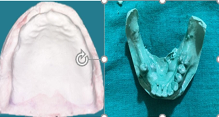 Dr. Shaikh Shabeena M. (P.G. Student), Dr. Pratibha Katiyar (Associate ...