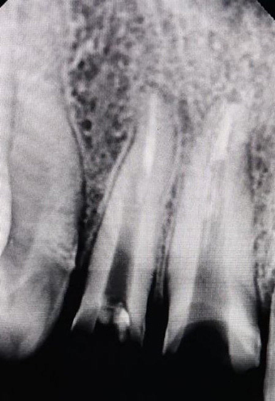 Online Open Access Dental Magazine, Journal, Publication, Dentistry Journal