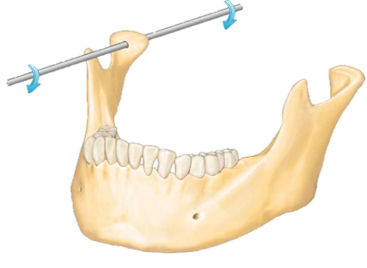 CRACKING THE CODE: TERMINAL HINGE AXIS DEMYSTIFIED AMIDST CONCEPTUAL ...