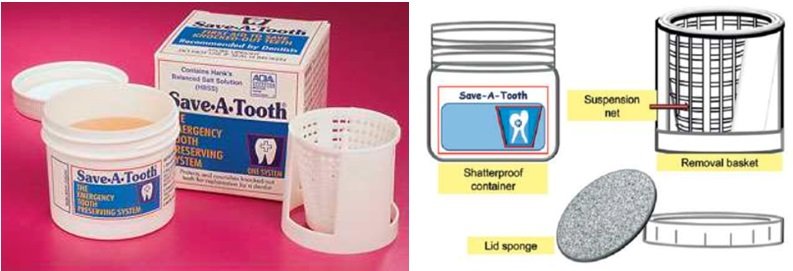 Online Open Access Dental Magazine, Journal, Publication, Dentistry Journal