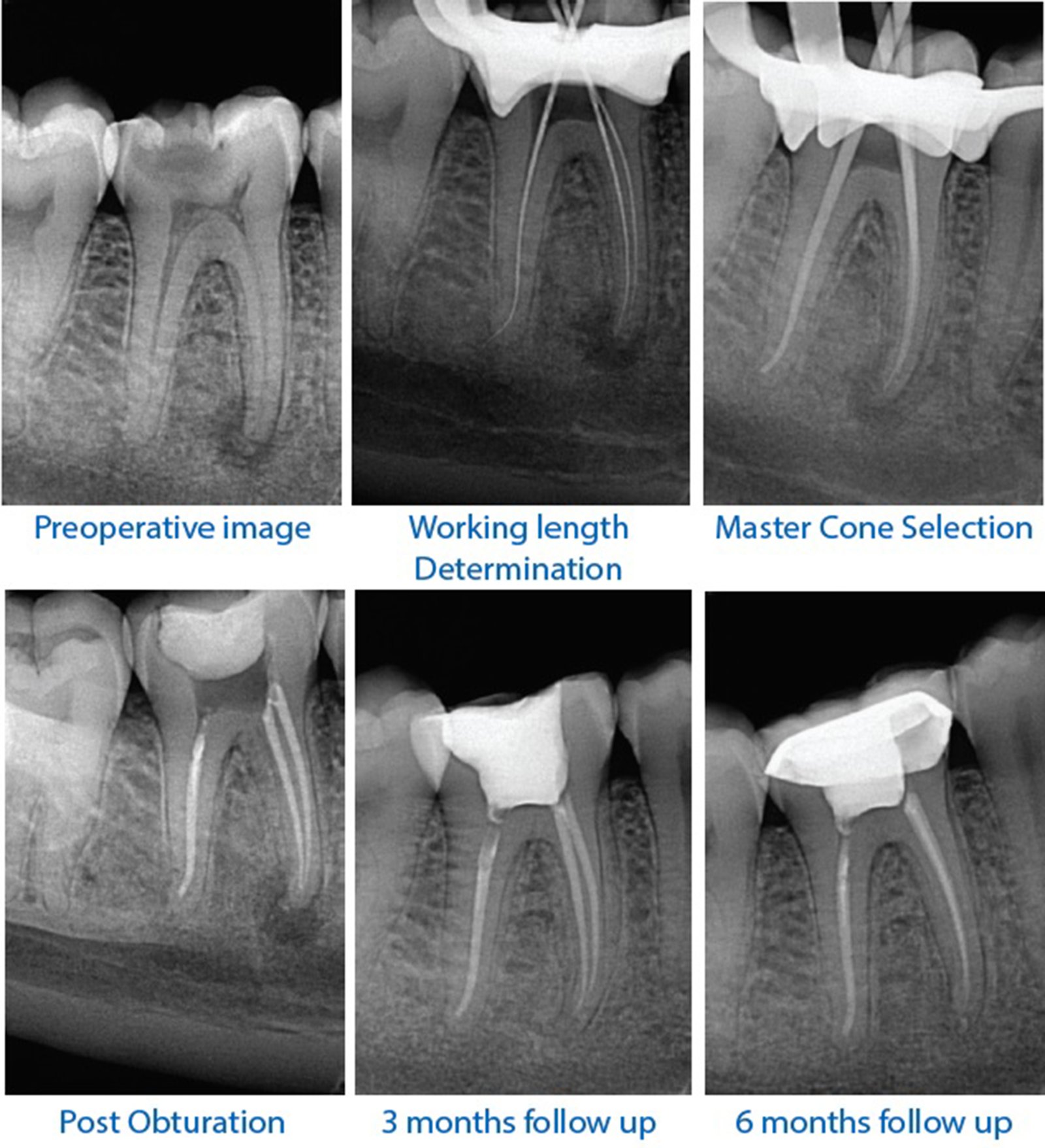 Online Open Access Dental Magazine, Journal, Publication, Dentistry Journal