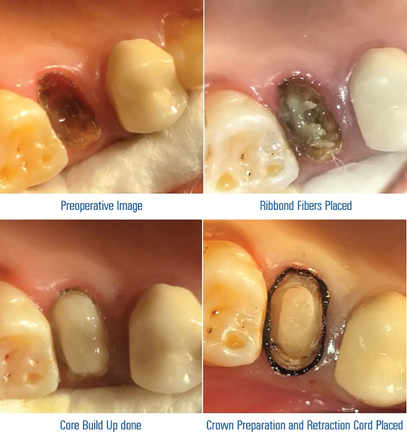 Online Open Access Dental Magazine, Journal, Publication, Dentistry Journal